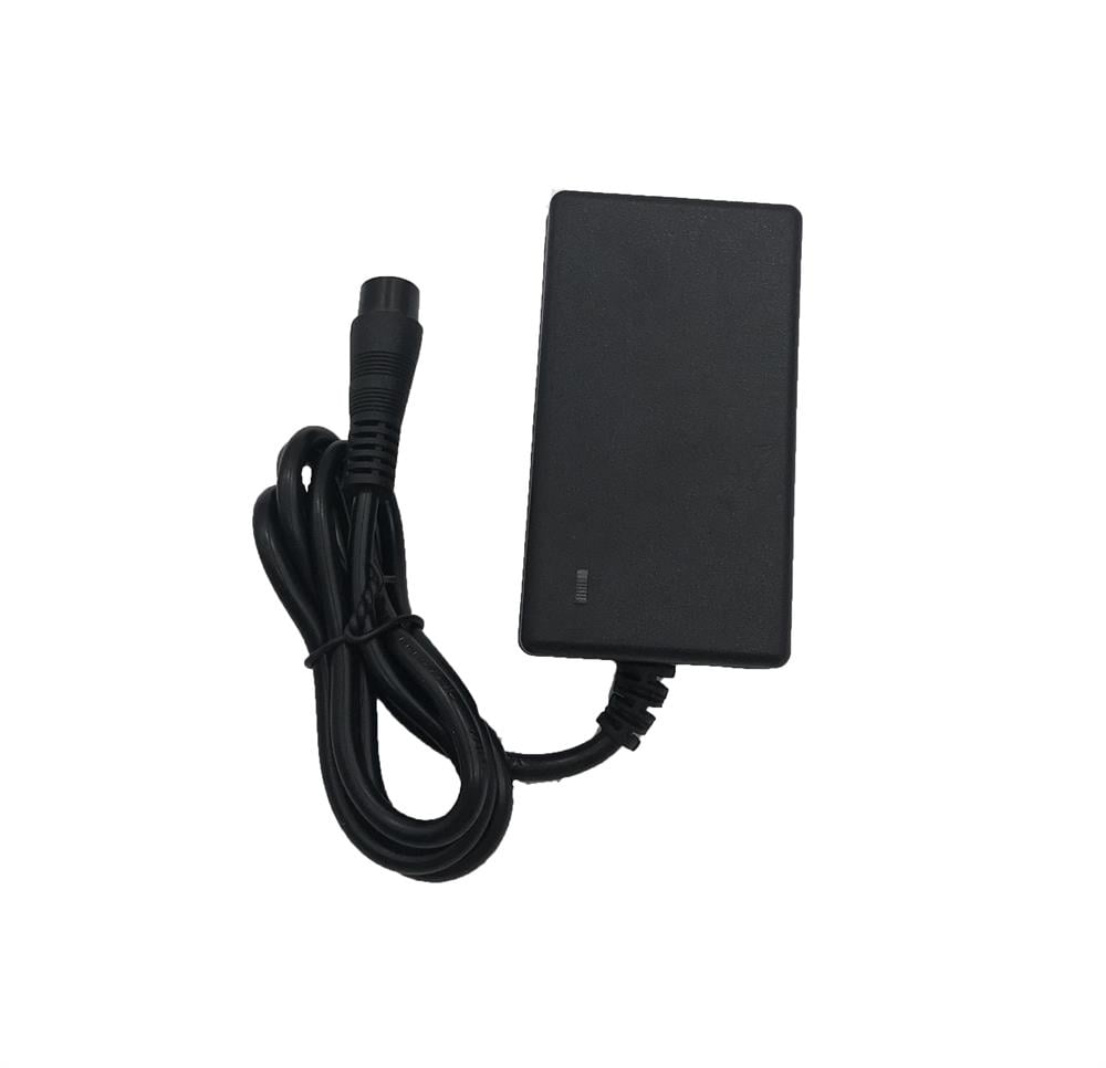 Buy BBIER 24V 1A Electric Scooter Battery Charger for Razor E100 E125 ...