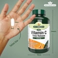 Natures Aid - Vitamin C Timed Release 1000mg (180 Tablets) - Walmart.com
