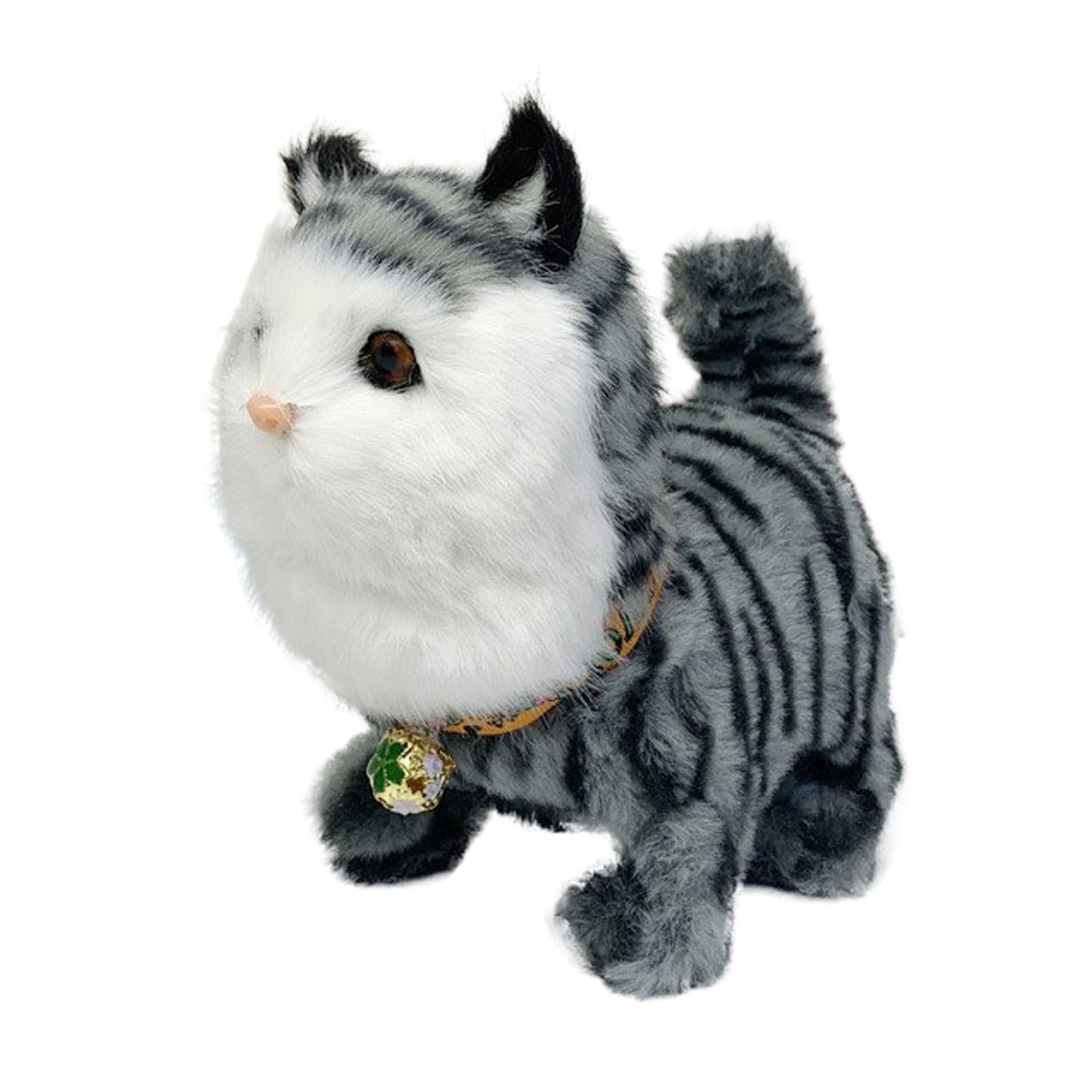 CJiaWei "Chat : Doux et Adorable! Gardez Votre Chat Diverti avec C'est ...