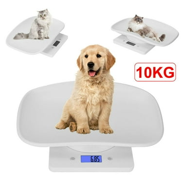 Kritne Digital Scale,Digital Pet Scale,10kg/1g Digital Small Pet Weight ...
