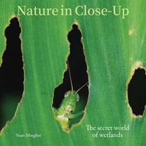Nature in Close Up: The Secret World of Wetlands, (Hardcover) - Walmart.com