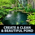 CrystalClear AlgaeOff - Pond Algae Remover & Water Treatment - 2.5 ...