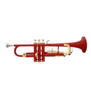 pBone Plastic Trumpet Black - Walmart.com