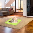 Alasum Prevent Spilling Cat Feeding Mats Premium Silicone Green Pet ...