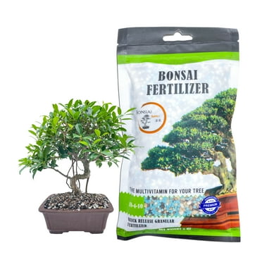 Bonsai Food Pellets by Perfect Plants - 5 Year Supply - All Natural ...
