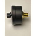 Hayward Filter Pressure Gauge - Walmart.com