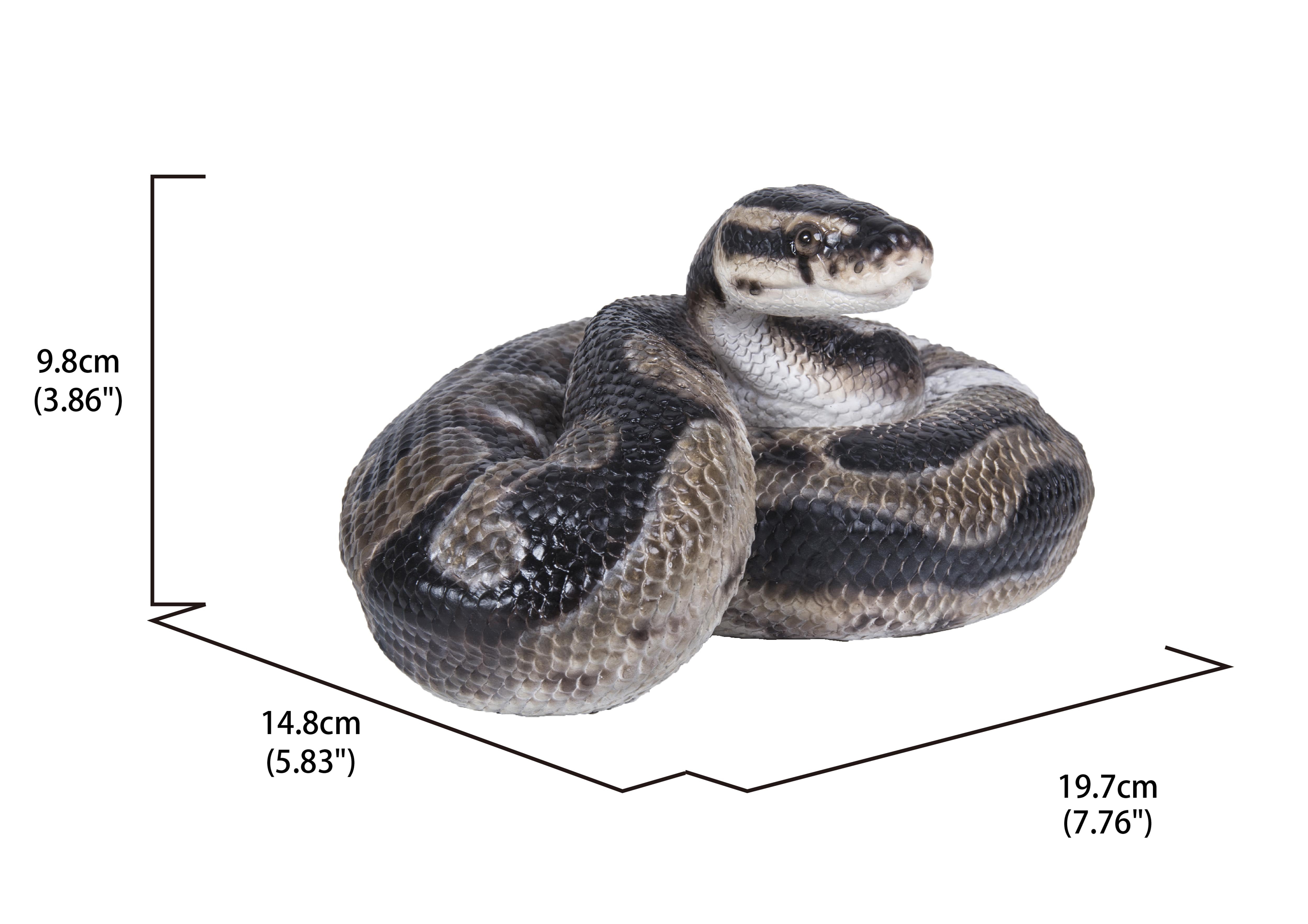 Black And White Ball Python