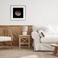 Stupell Industries Wispy Dandelion on Black Gray Framed Print Under ...