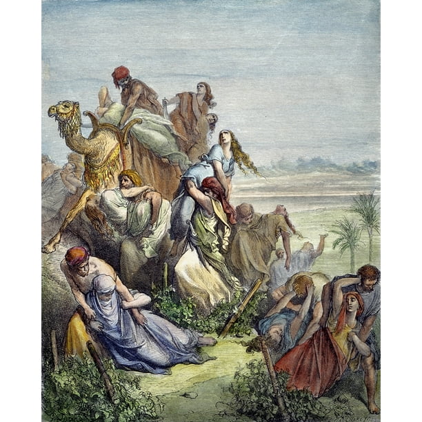 Children Of Benjamin. /Nthe Children Of Benjamin Carrying Off The ...