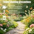 Elegant Hosta Collection – Drought Tolerant & Air Purifying – Tall ...