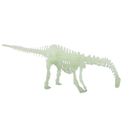 Noctilucent Dinosaur Human Skeleton Model Assembly Skull Toy Bones ...