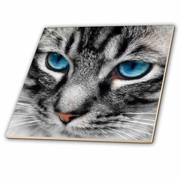 Cat Tile