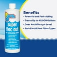 In The Swim Super Floc Out, Liquid Pool Flocculant for Clear Water, 1 ...