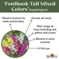 Burpee Fordhook Tall Mixed Colors Snapdragon Flower Seed, 1-Pack ...