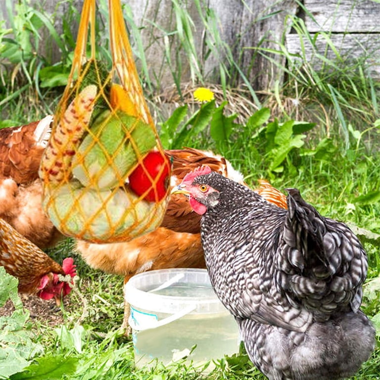 Foldable Chicken Utensil Hanging Chicken Feeder - Foldable Stainless ...