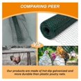 Chicken Wire 36x100ft, Galvanized Hex Netting - Anti-Rust Garden Fence ...