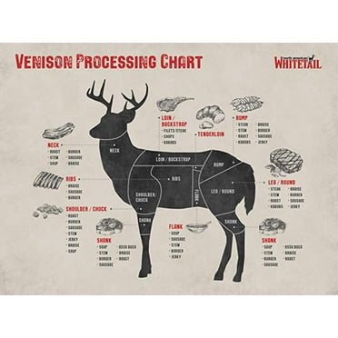 Angus Beef Chart Meat Cuts Diagram Poster 24 Inches x 36 Inches Art ...