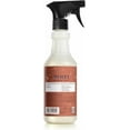 CLEAN DAY Multi-Surface Everyday Cleaner, Limited Edition Gingerbread ...