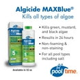 MAXBlue 32 Oz. Algicide Pool Algaecide - Walmart.com