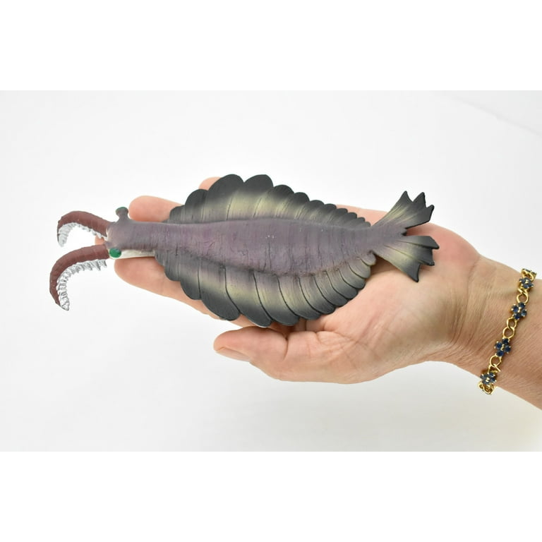 Anomalocaris Plush