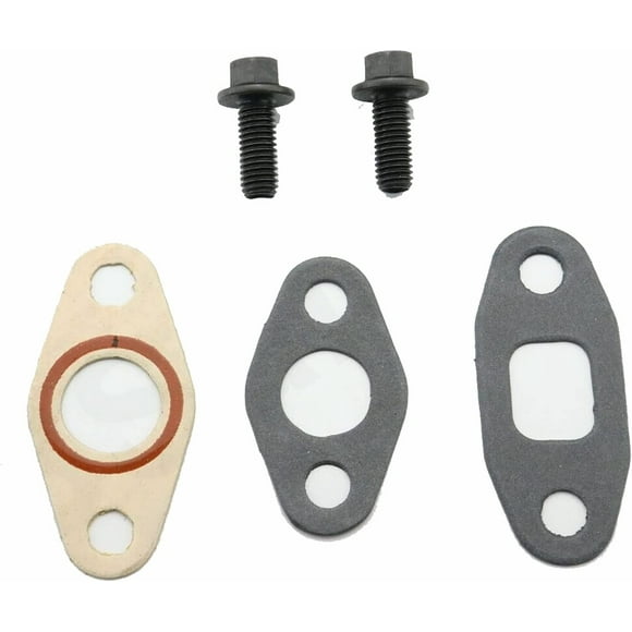 Turbo Oil Drain Gasket