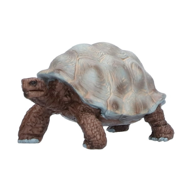 Tortoise Life Cycle Figurines,Tortoise Turtle Model Figures Wild Animal ...