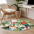 Colorful Birds 4FT Round Area Rugs Colorful Parrots Rest on Large ...