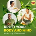 Lipton Signature Blend Green Tea Bags, Unsweetened Teabags for Hot Tea ...