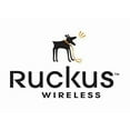 Ruckus Wireless Regional Power Adapter - 12 V DC Output - 2 A Output ...