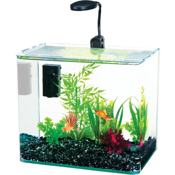 3 Gallon Fish Tank