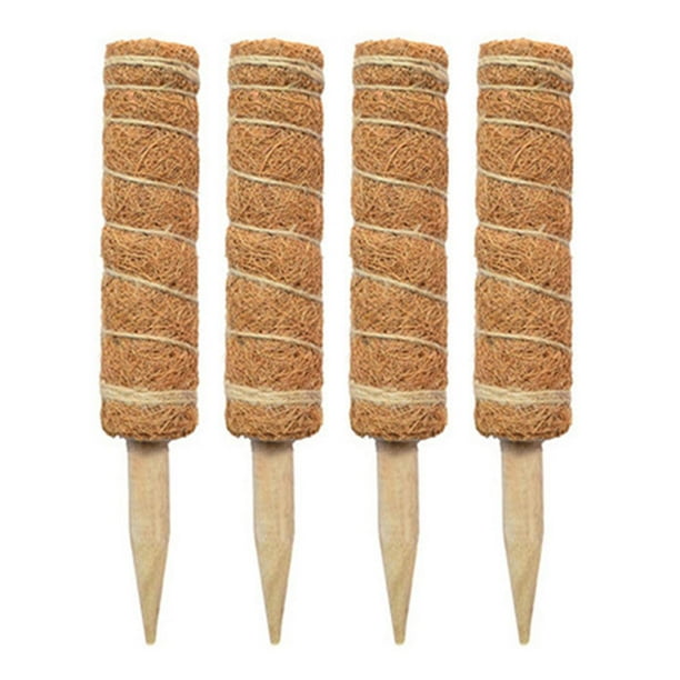 4 Pieces Plant Climbing Rod Sticks Extension Pole Indoor Monstera 30cm ...