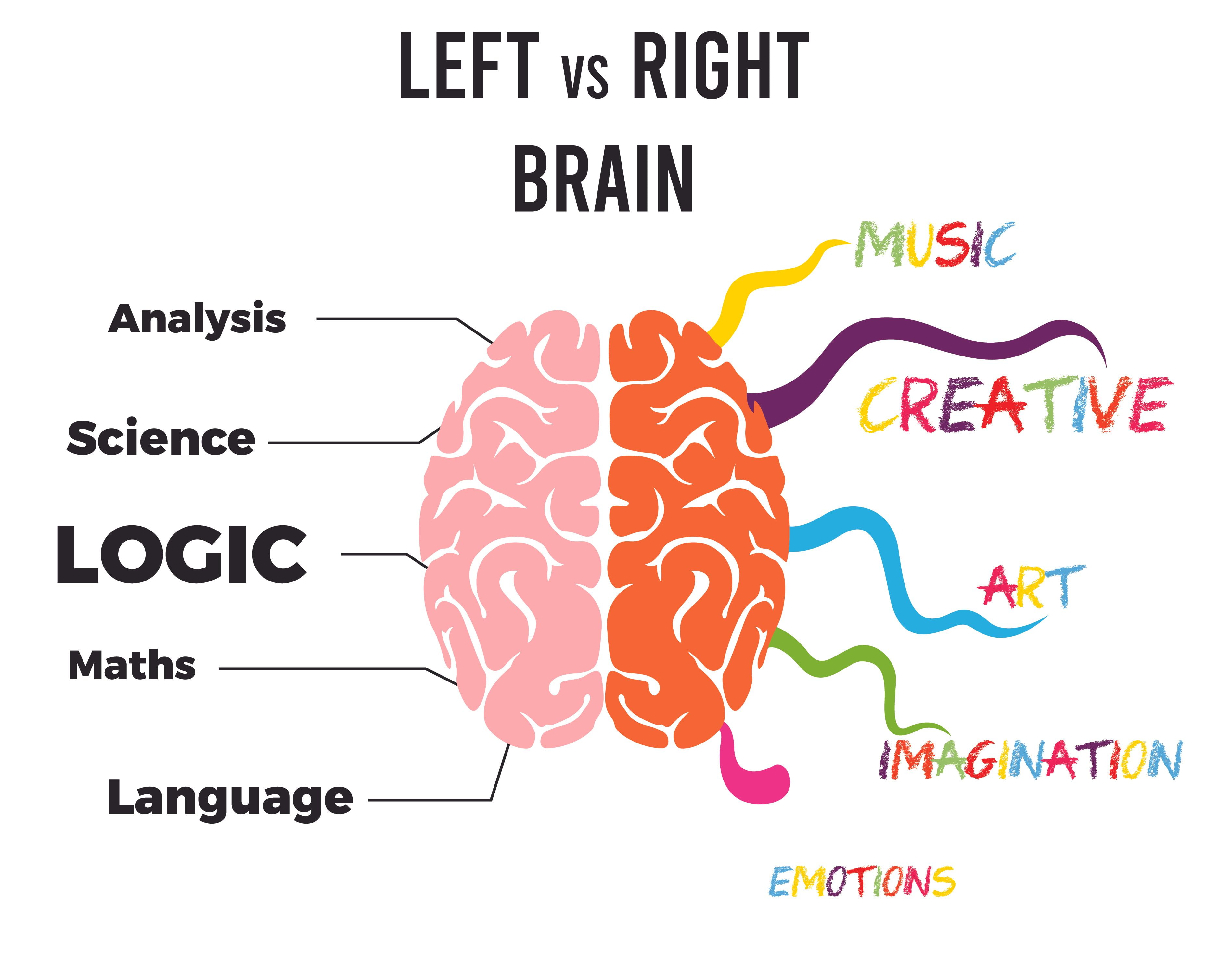 Left And Right Brain Diagram