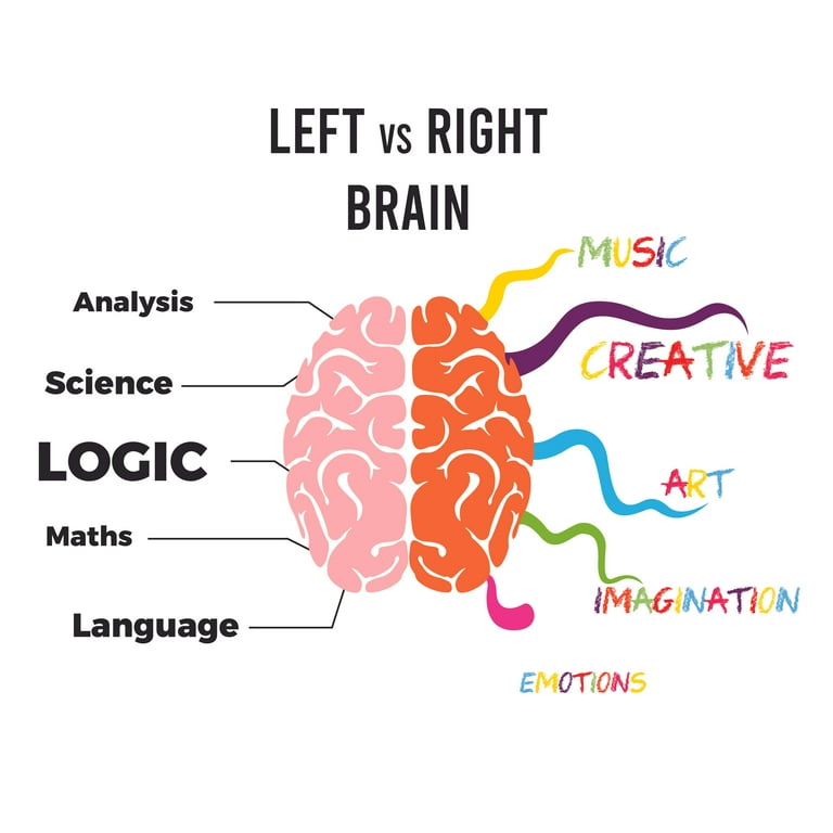 Part Of The Left Brain