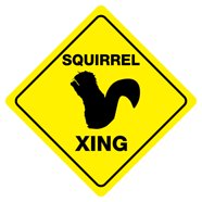 Squirrel Crossing Sign - Walmart.com
