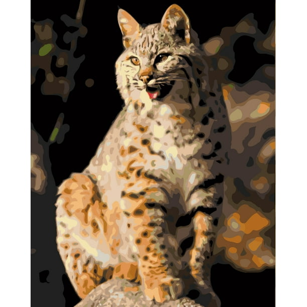 DIY Oil Painting Small to medium-sized cats Whiskers Cat Felidae ...