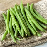 Walmart's Blue Lake String Bean Bush | 50+ Non-GMO, Heirloom Seeds ...