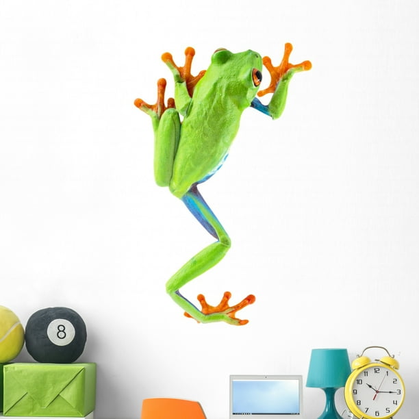 Red Eyed Tree Frog Wall Mural Decal by Wallmonkeys Vinyl Peel and Stick Graphic (48 in H x 30 in ...
