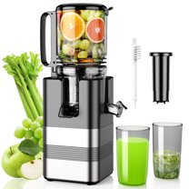 Dash Compact Masticating Slow Juicer, Easy to Clean Cold Press Juicer ...