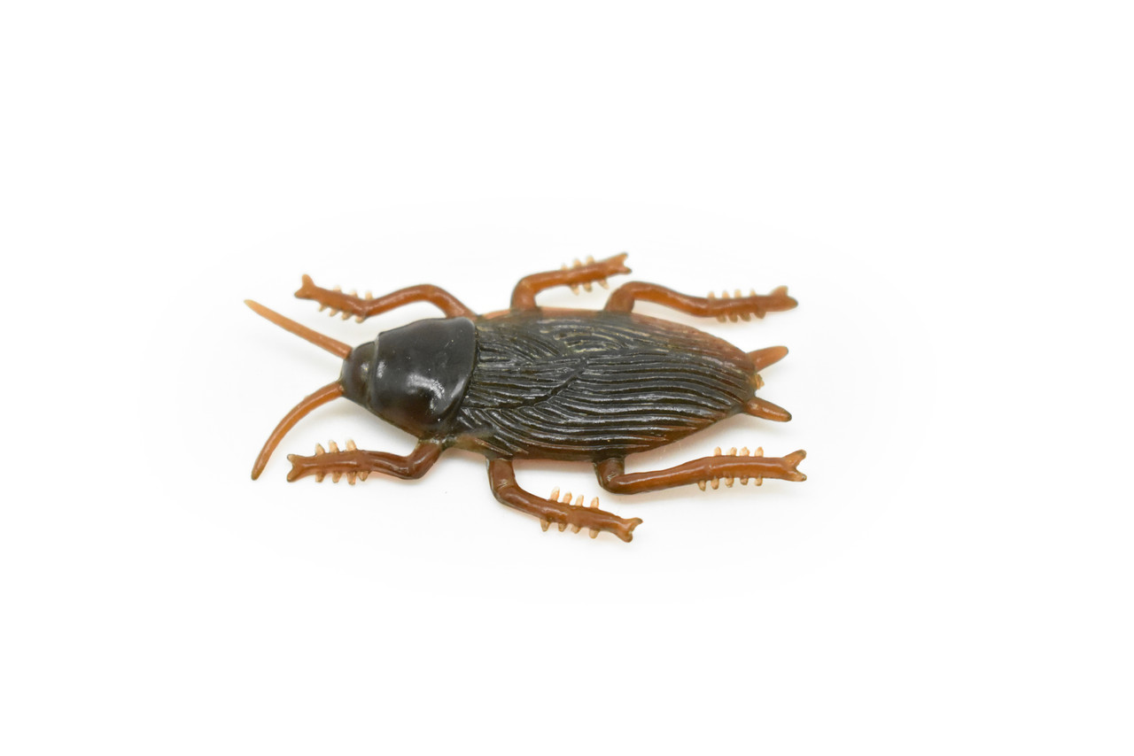 Cockroach, Flexible, Very Nice Rubber Reproduction 2" F3399 B39 ...