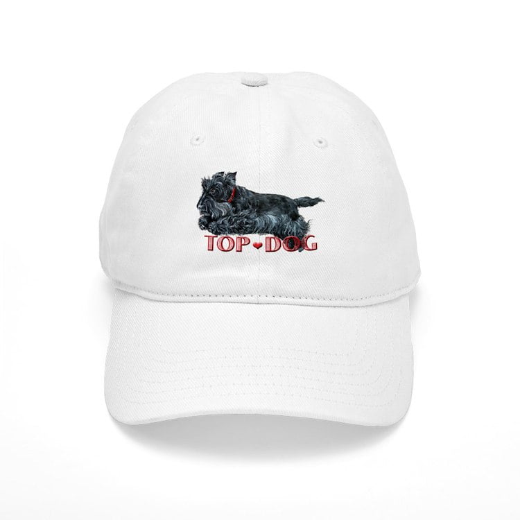 Top Doge Hat