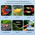 3PCS Aquariums Isolation Box for Protecting Baby Fish and Shrimp from ...