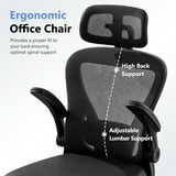 HomeZeer Ergonomic High Back Office Chair with Lumbar Support and Flip ...