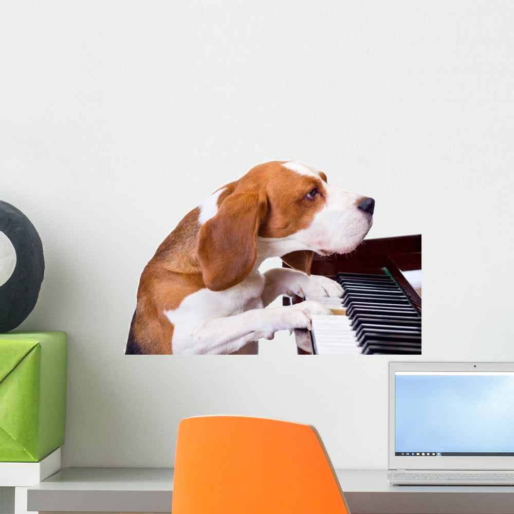Dog Playing Piano Wall Mural by Wallmonkeys Peel and Stick Graphic (18 ...