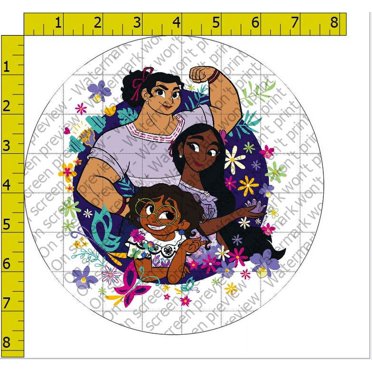 Disney Encanto Isabela Edible Cake Topper Image ABPID55517 - Walmart.com