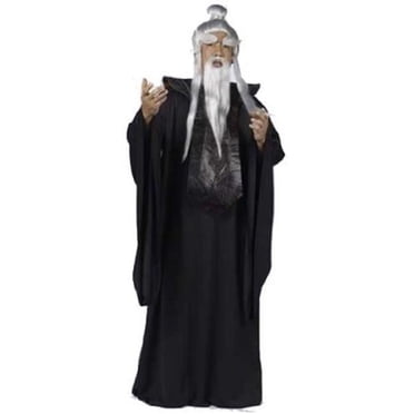Sensei Master Costume - Walmart.com