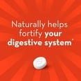 Align Gut Fortify, Chewable Probiotic Tablets, 24 Count - Walmart.com