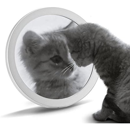 Home Magnification 7X Wall Mounted Makeup Bathroom Mirror Rotatable ...