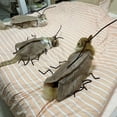 Feledorashia Funny Cat Cockroach Costume, DIY Kit with Antennae, Pet ...