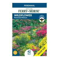 Burpee Perennial Wildflower Seeds Mix – Non-GMO, Attracts Pollinators ...