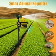 Solar Powered Garden Motion Sensor Automatic System, Animal Repellent ...